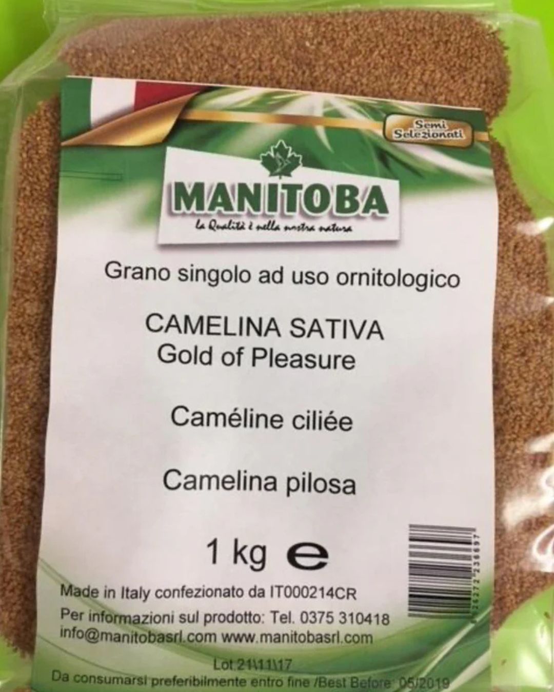 Camelina Sativa Gold – North Carolina Bird Supply